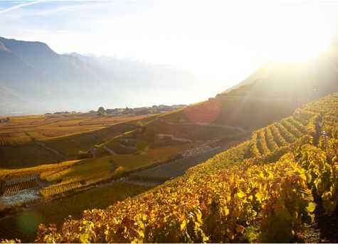 Le district de Conthey - Office du Tourisme de Chamoson